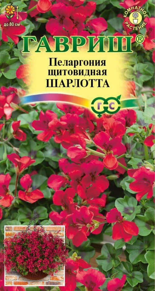 Семена пелагонии Гавриш Шарлотта, ампельная, плющелистная, 3 шт 107185021