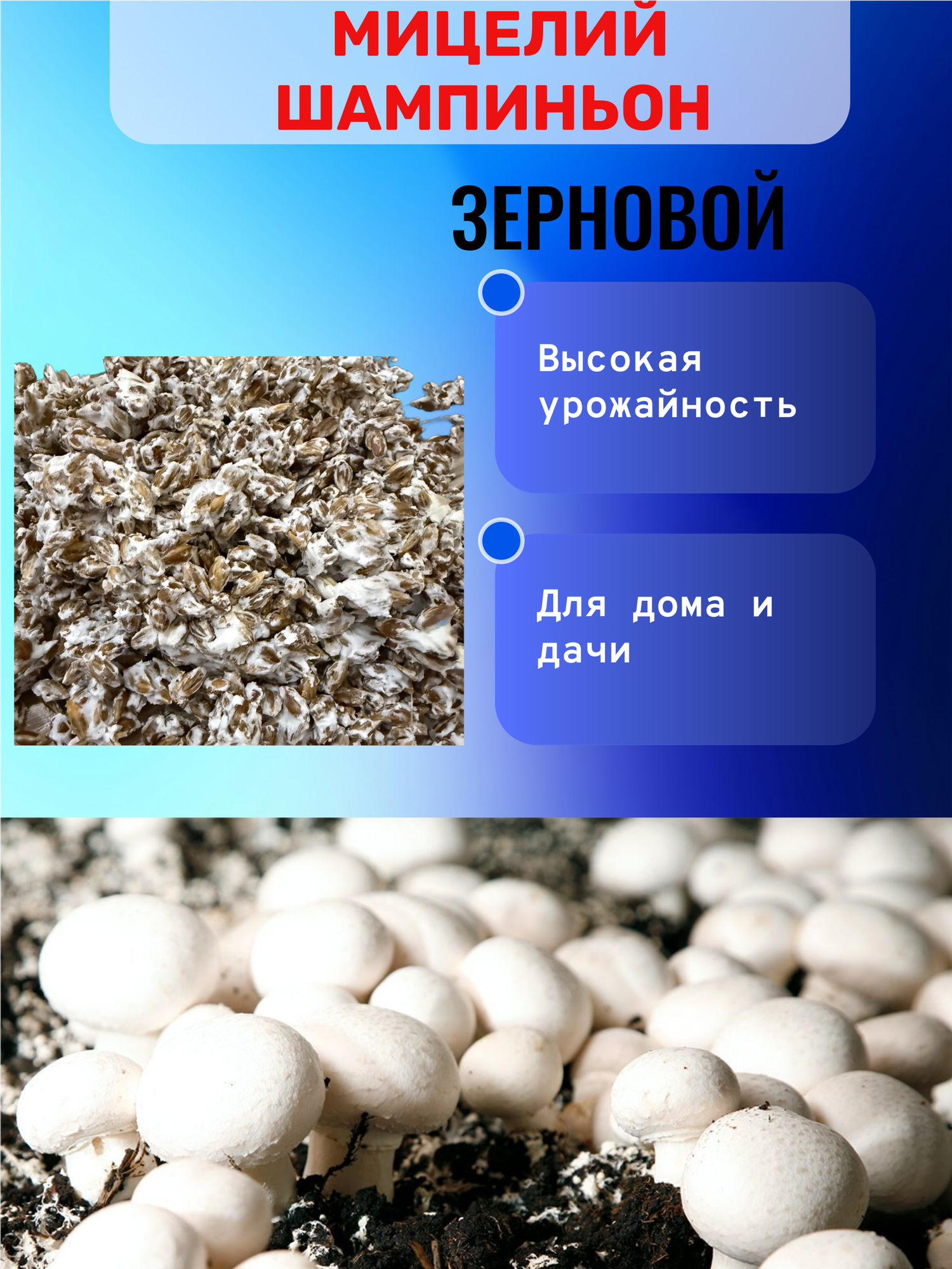 Мицелий грибов шампиньонов белых зерновой 20 гр