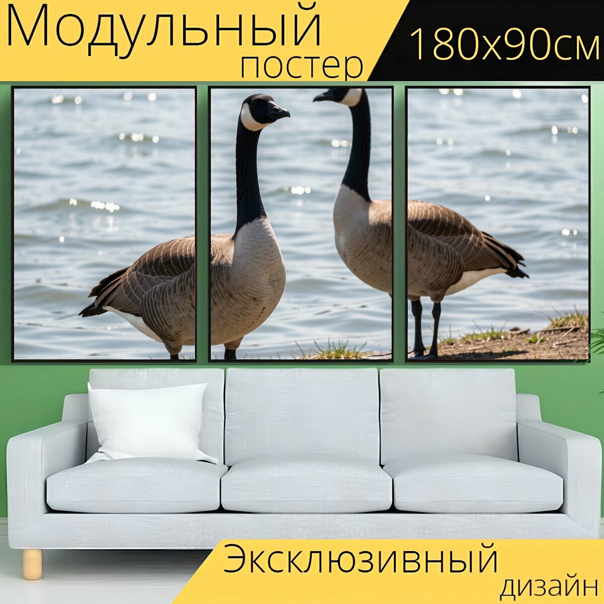 Модульный постер "Две канадские гуси у воды. Пара диких гусей на берегу спокойного водоема, летний природный сюжет в реалистичном." 180 x 90 см. для интерьера на стену в тубусе