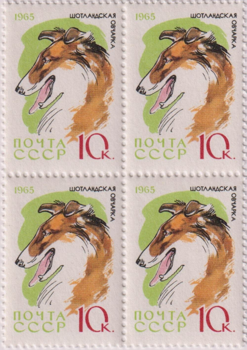 Почтовые марки СССР 1965г. "Шотландская овчарка (Колли)" Собаки MNH