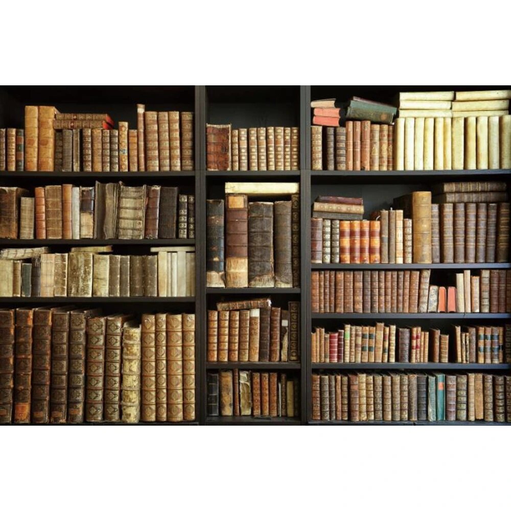 Винтажный книжный шкаф, фотофон Sfaretir 220x150cm, цвет MX5031