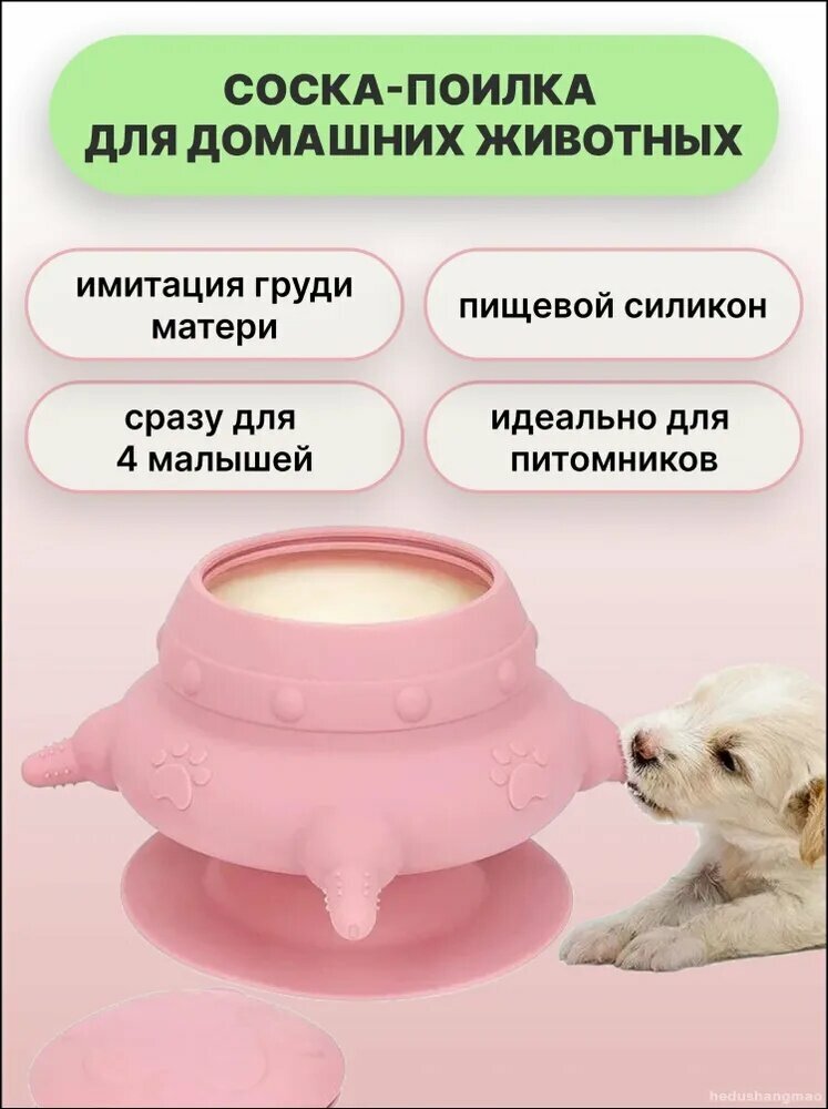 Эксклюзивная бутылочка для вскармливания новорожденных котят и щенков