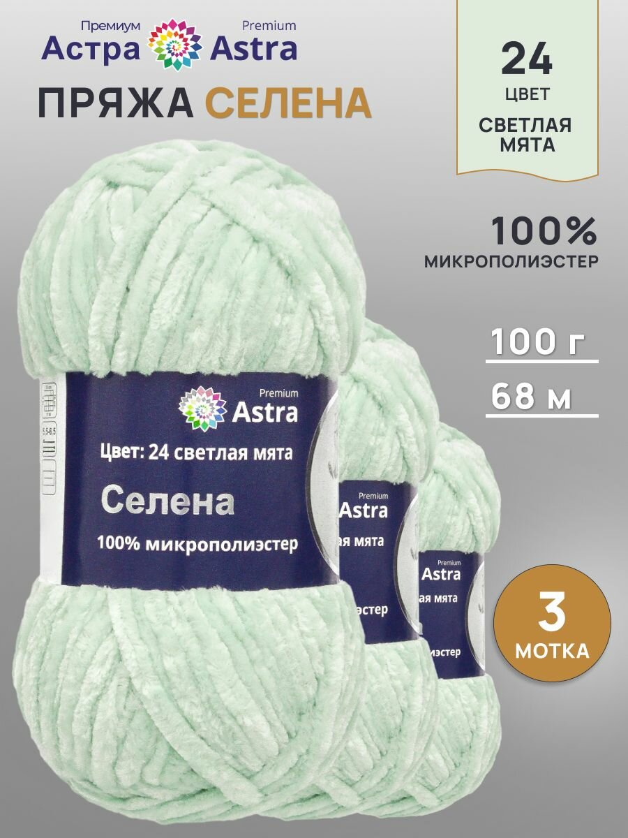 Пряжа для вязания Astra Premium 'Селена' 100г, 68м (100% микрополиэстер) (24 светлая мята), 3 мотка