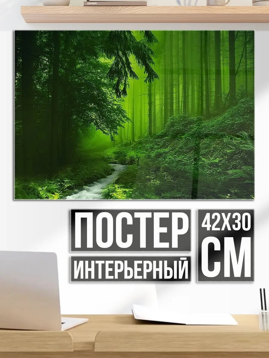 Плакат постер зеленый лес