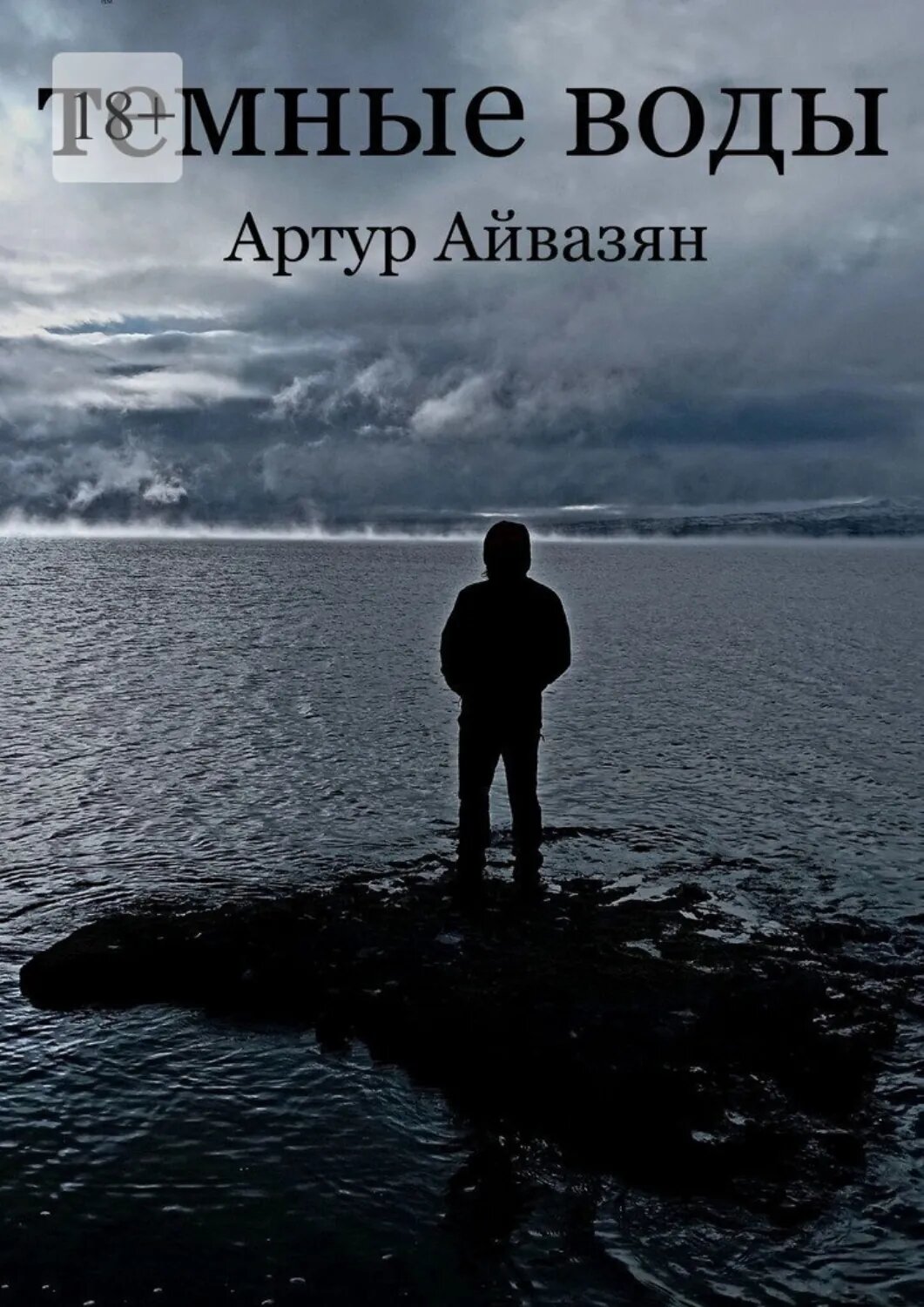 Темные воды [Цифровая книга]