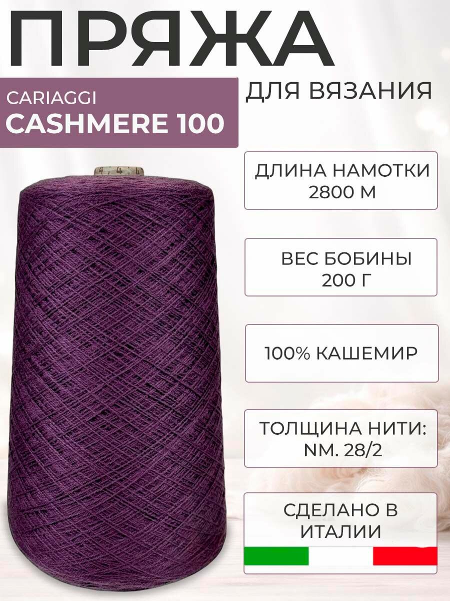 Пряжа бобинная Cariaggi Cashmere 100 кашемировая, 200 г / 2800 м, цвет фиолетовый дождь