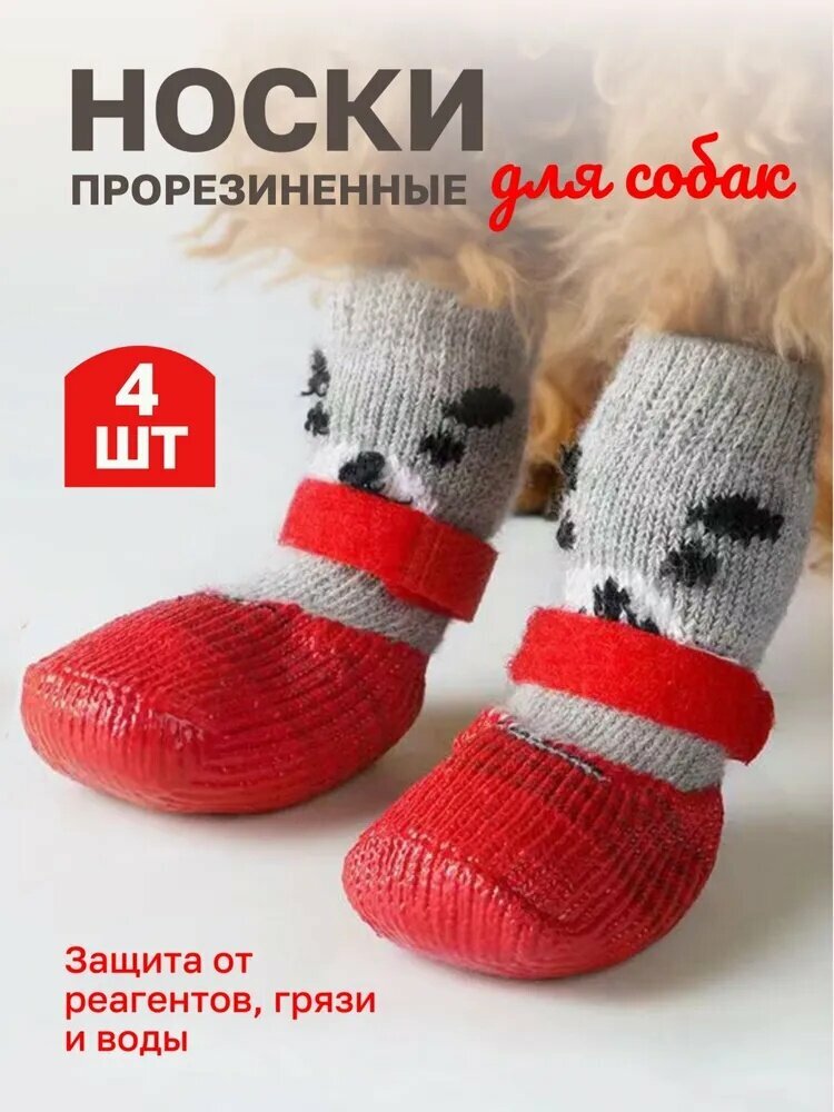 Обувь для собак