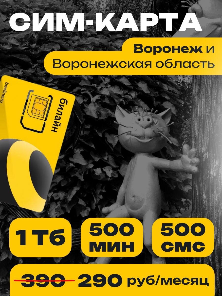Сим-карта Билайн тариф Эксклюзивный Онлайн Лайт Воронежская область 1024 Гб + 500 минут за 290 руб.