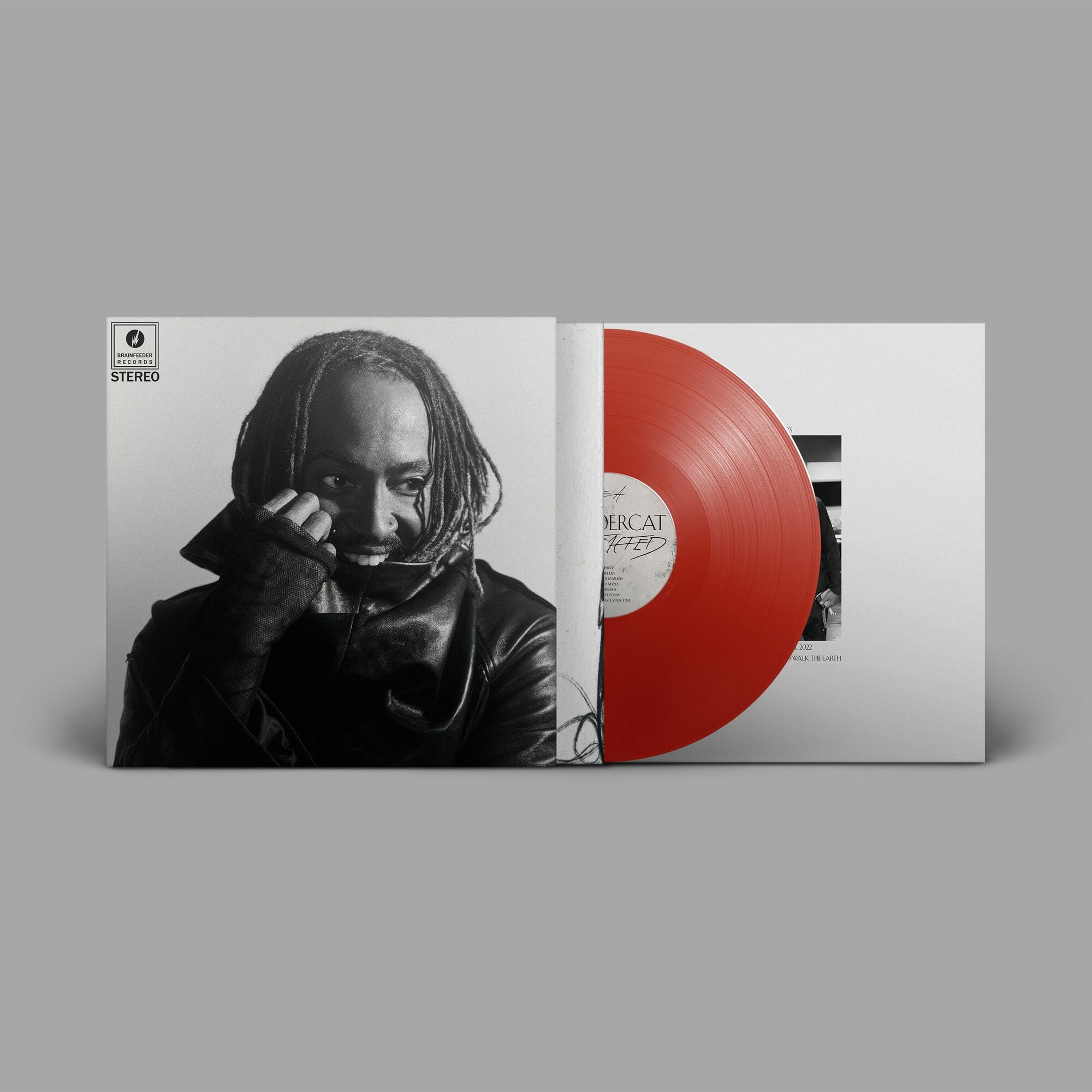 Виниловая пластинка Thundercat - Distracted (Red Vinyl) (LP) (1 LP)