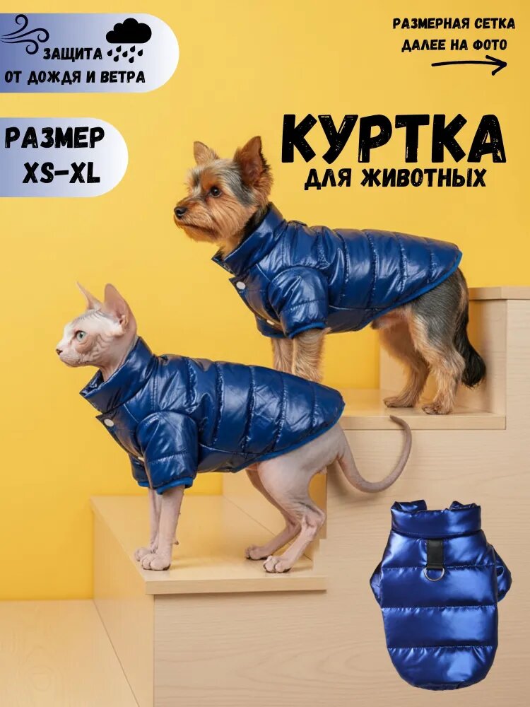 Одежда для животных