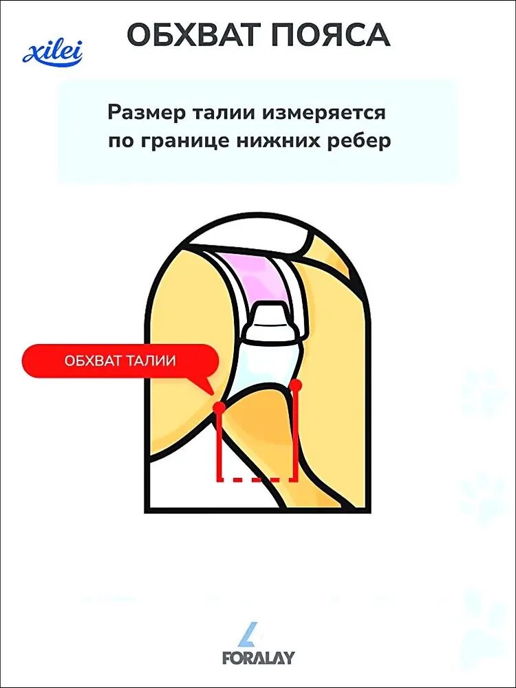 Подгузники для животных DONO пояса для кобелей XS, 26 шт, 235 мл, 15-33 см — фото 1