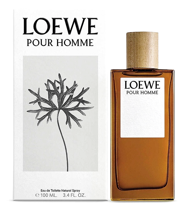 Loewe Loewe Pour Homme 100 мл - мужская туалетная вода Лоев Пур Хомм