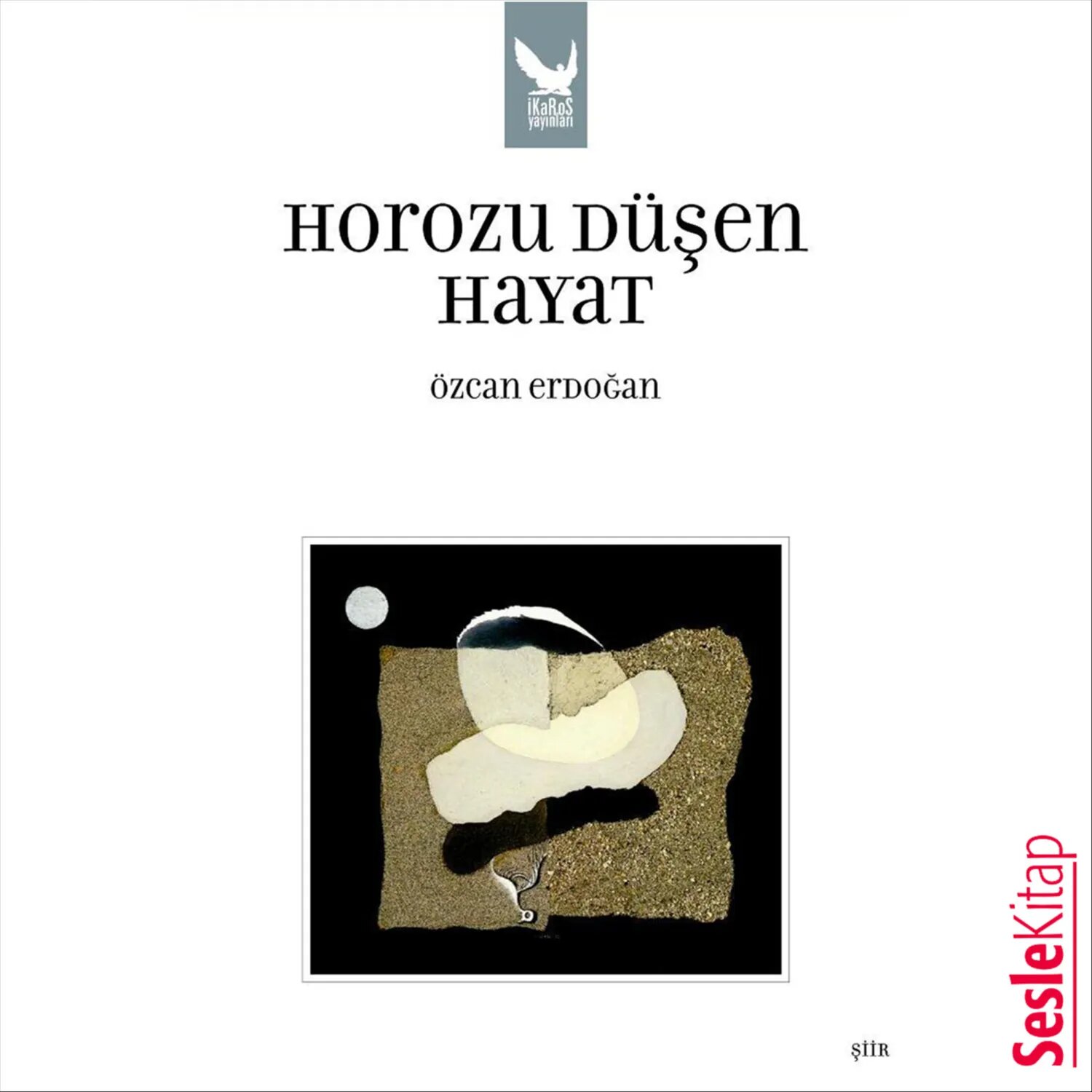 Horozu Düşen Hayat [Аудиокнига]