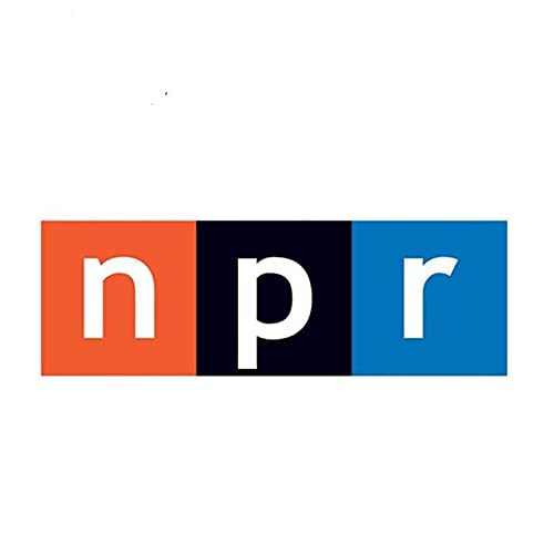 Набор из 2 наклеек на ручку двери автомобиля NPR, 15 см x 5,3 см, Национальное общественное радио NPR