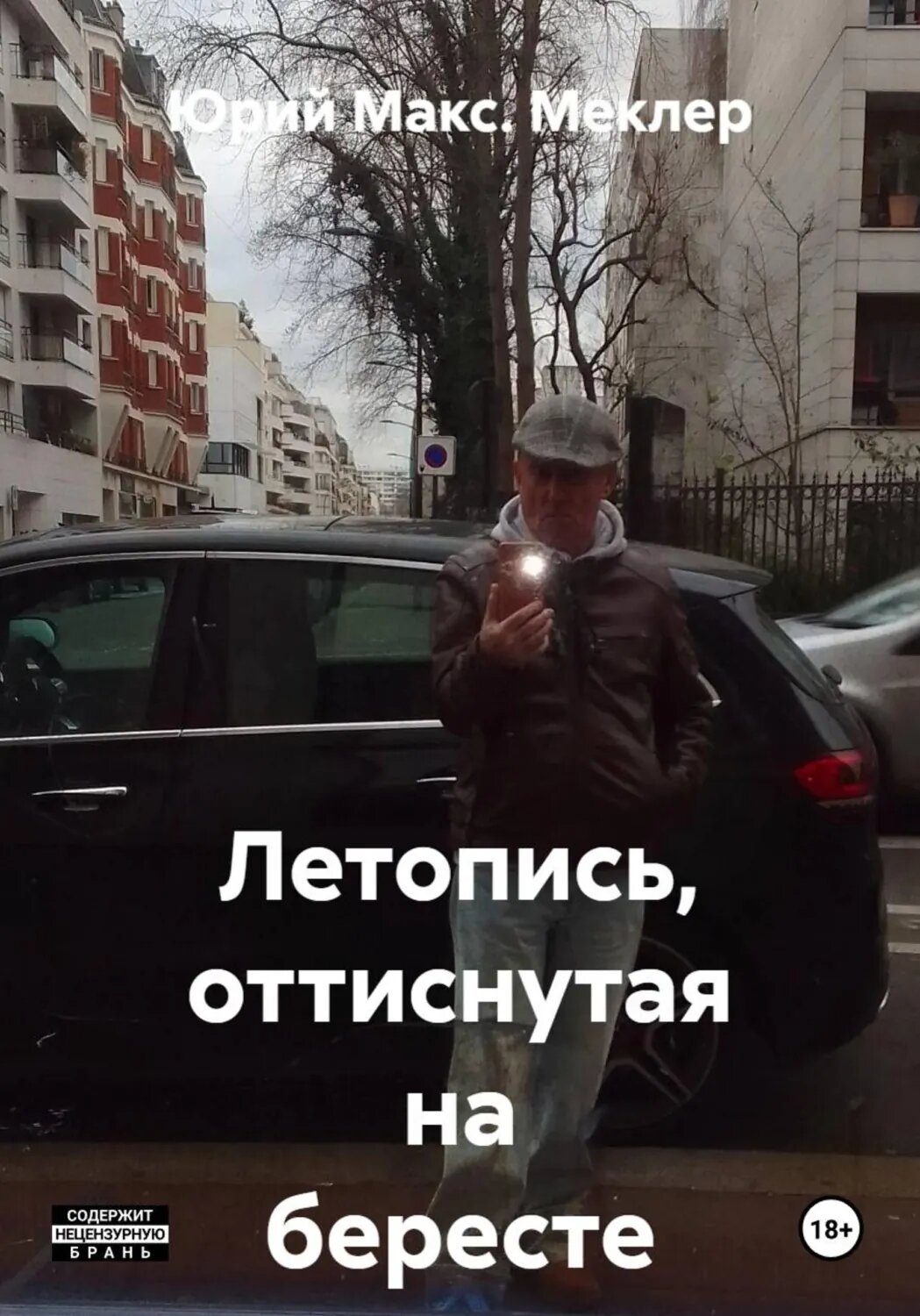 Летопись, оттиснутая на бересте [Цифровая книга]