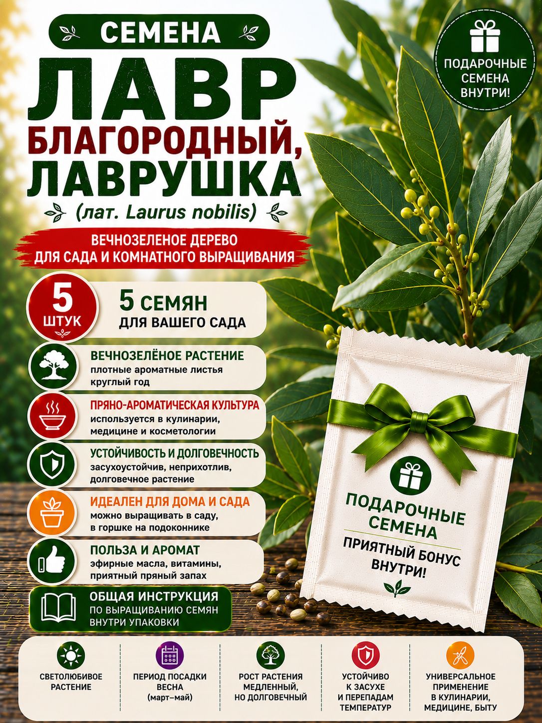 Семена лавра благородного (лаврушка) 5 шт, лавровое дерево, пряное растение