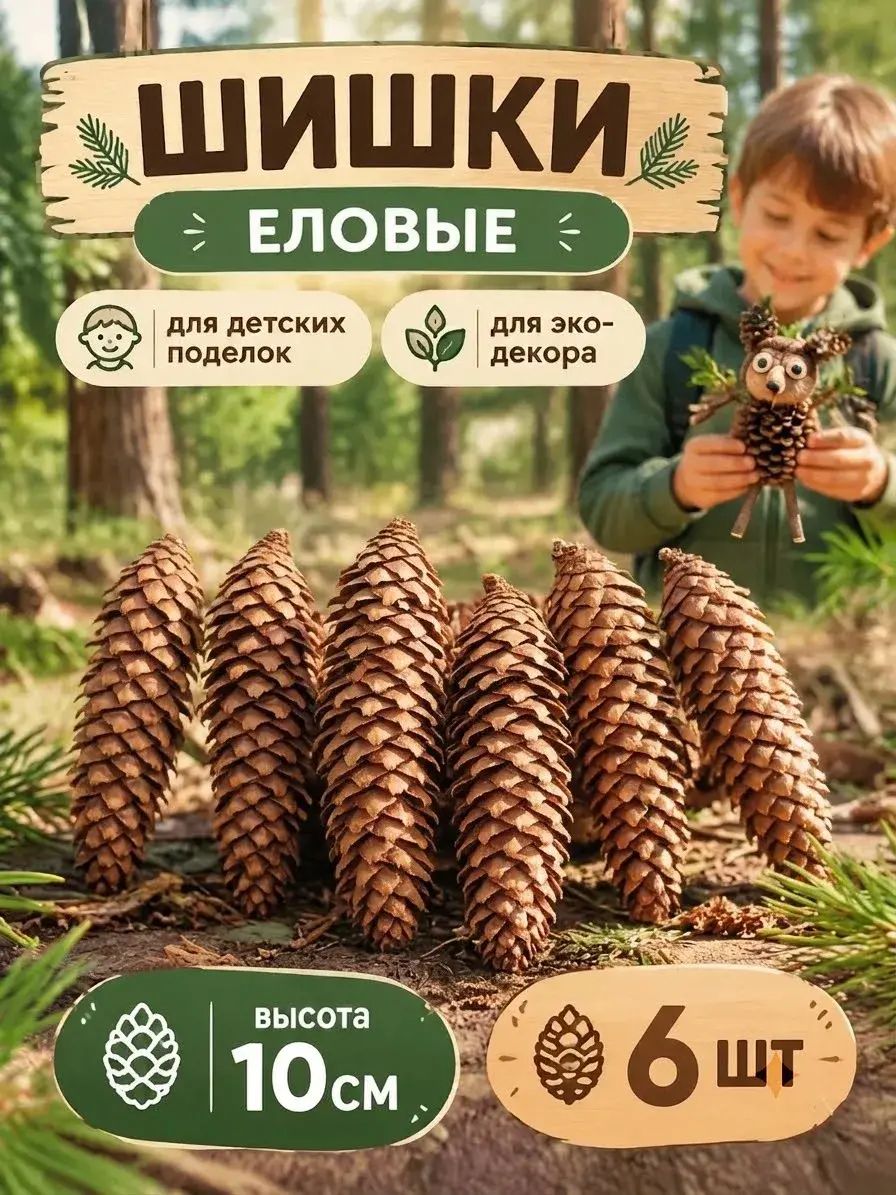 Набор еловых шишек