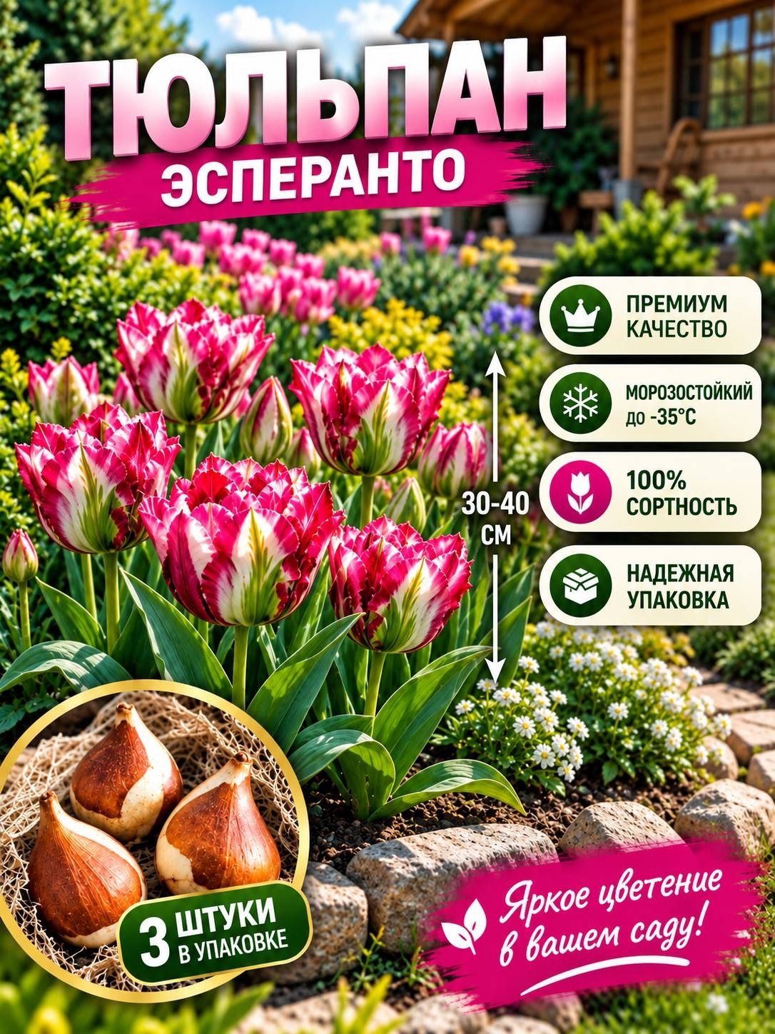 Луковицы тюльпана "Эсперанто" 3шт.