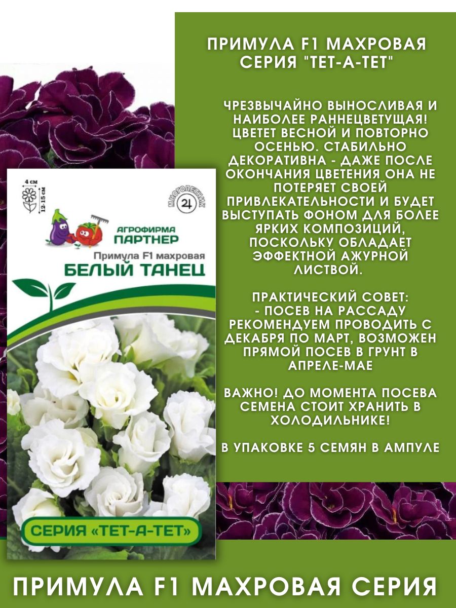 Примула семена — фото 1