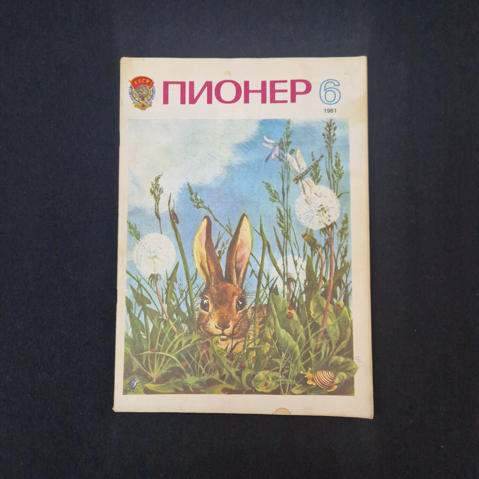 Пионер номер шесть за 1981 год. Книга СССР, детский литературный журнал для школьников