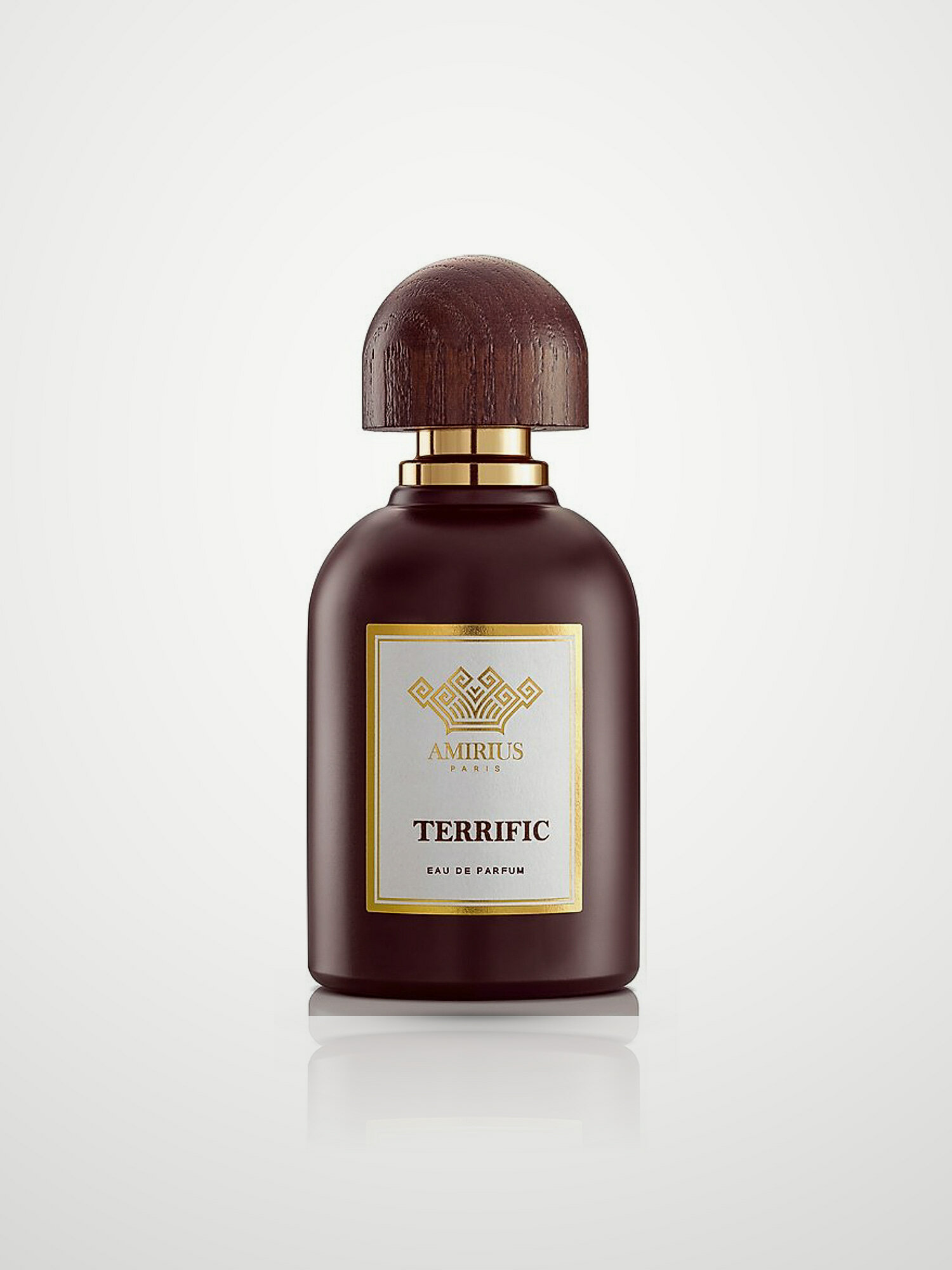 Парфюмерная вода Amirius Terrific Eau de Parfum унисекс 75 мл