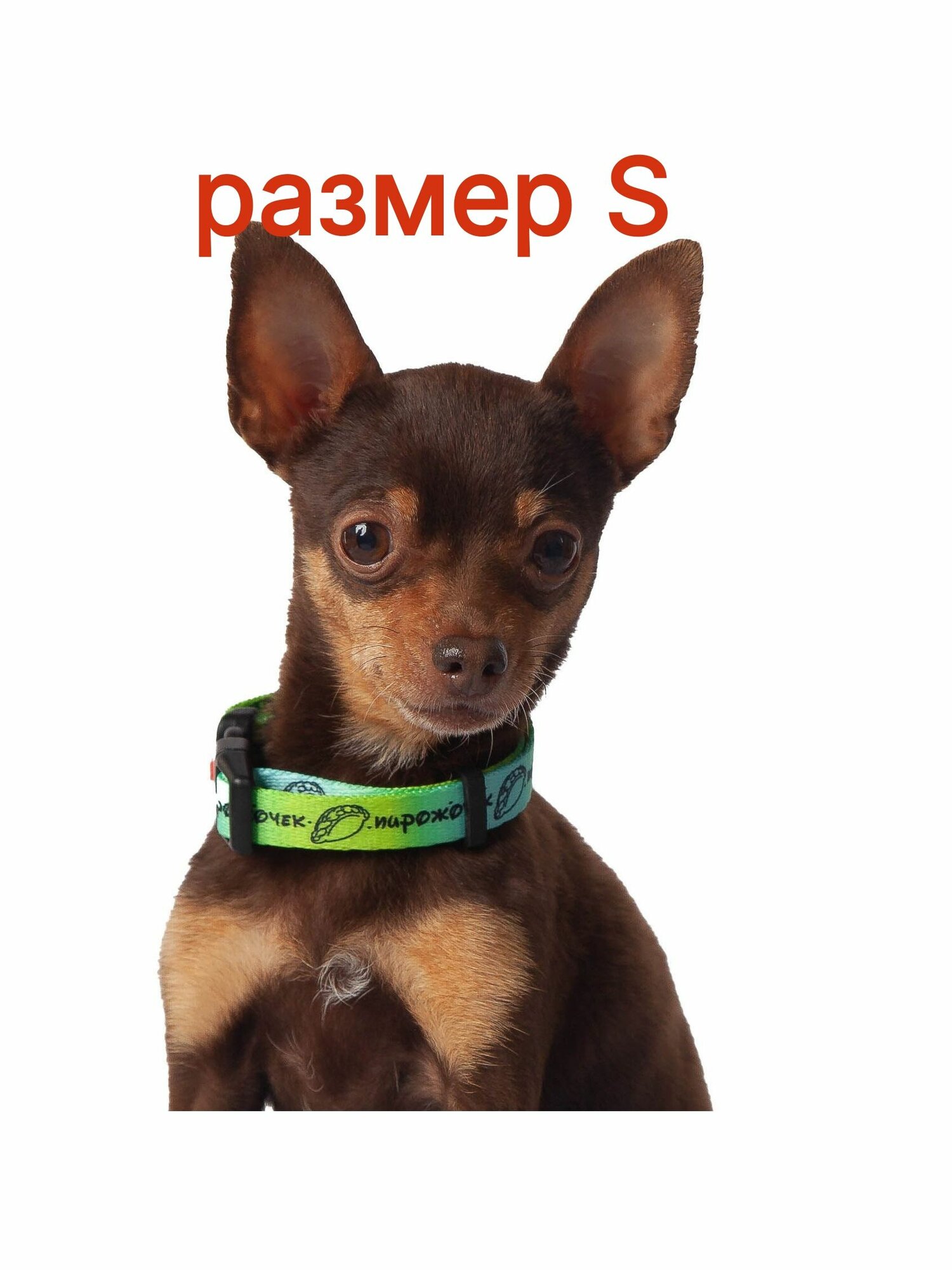 Ошейник "Пирожочек"