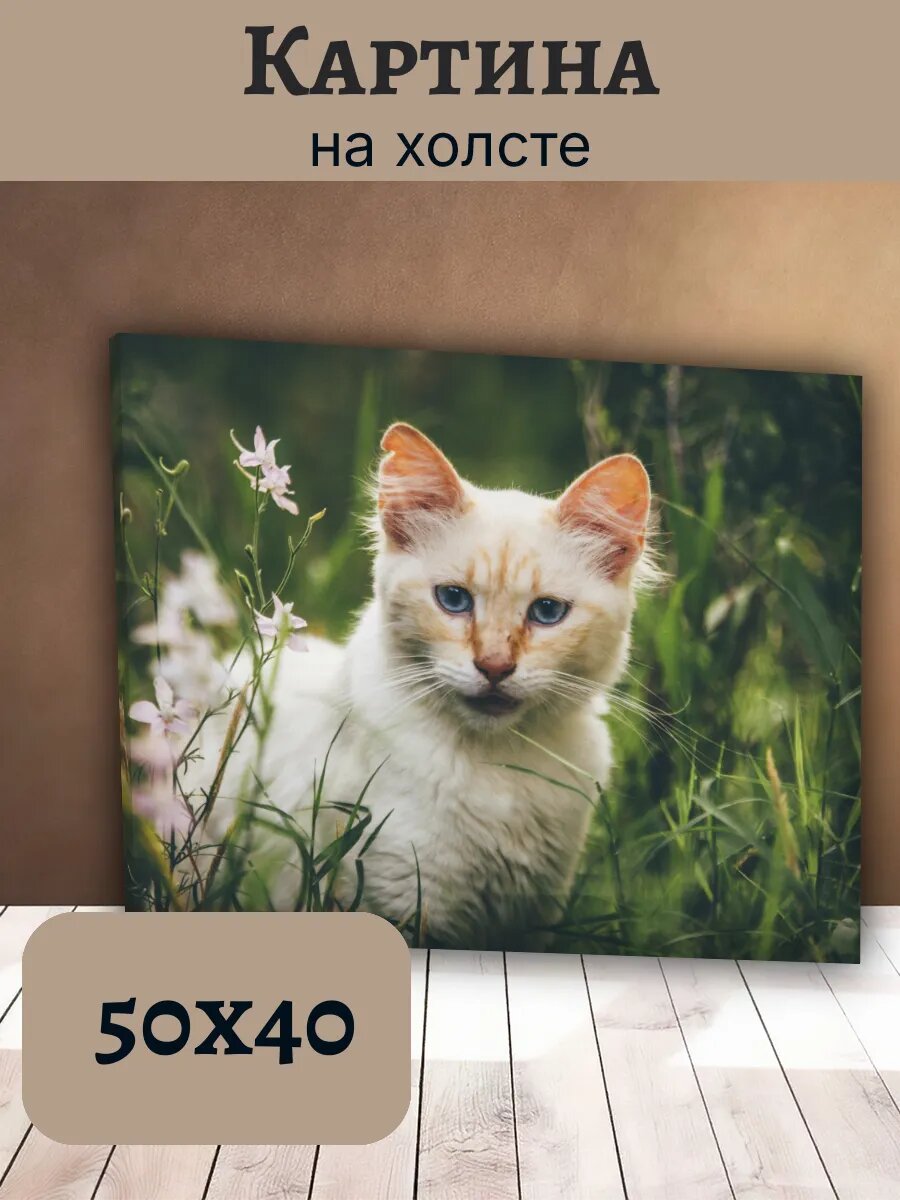 Картина Постер Кот Кошка Cat 40x50 рыжий котенок в траве