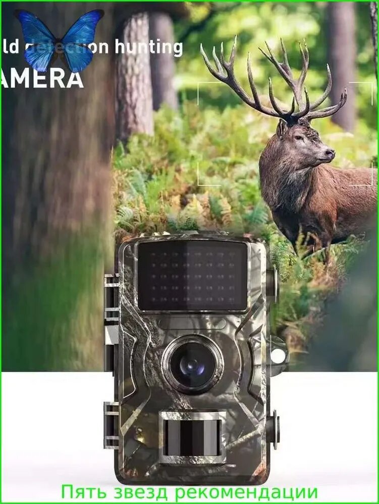 Фотоловушка — фото 1