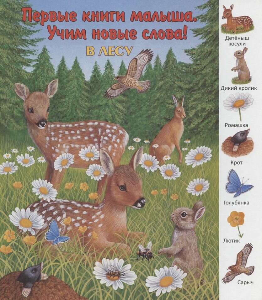 Книга Улыбка В лесу. 2013 год