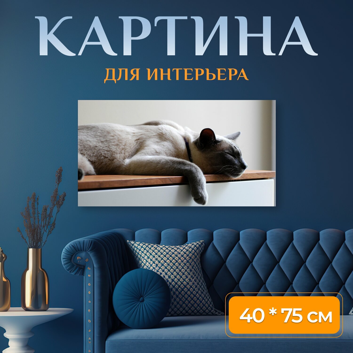 Картина на холсте "Кошка, домашние животные, сиамский" на подрамнике 75х40 см. для интерьера