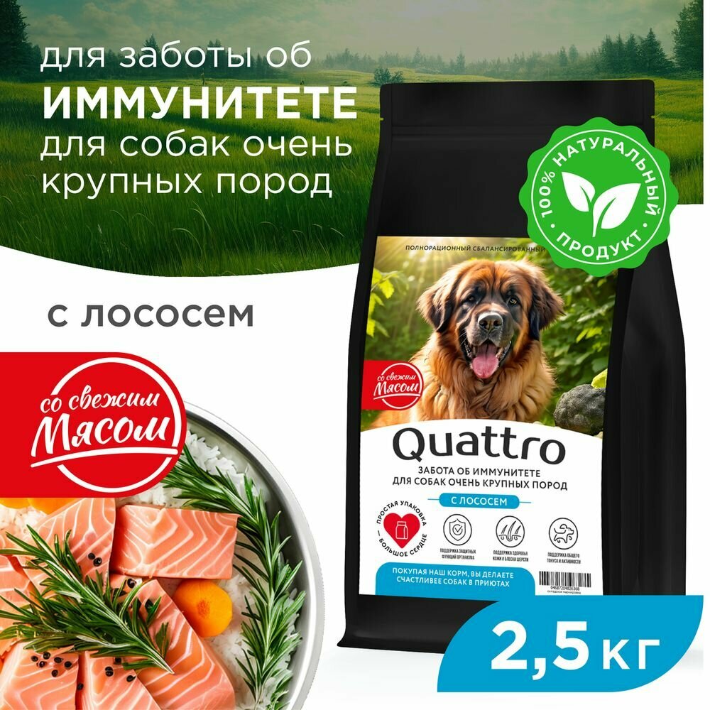 Корм сухой для взрослых собак очень крупных пород, премиум полнорационный комплекс, забота об иммунитете, с лососем, 2,5 кг, QUATTRO