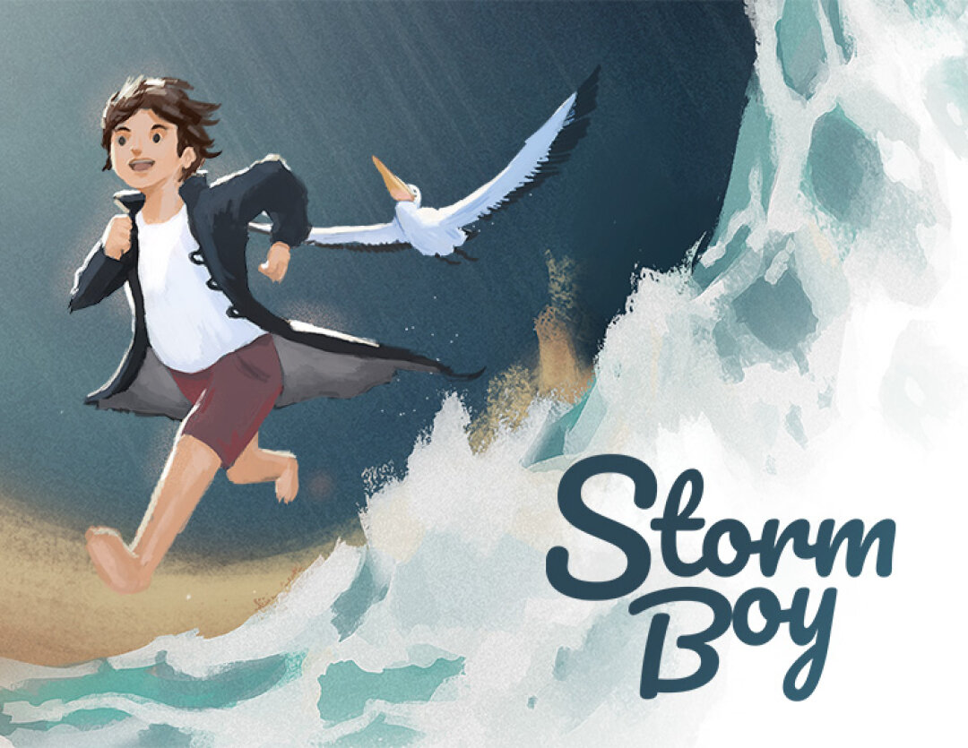 Storm Boy
