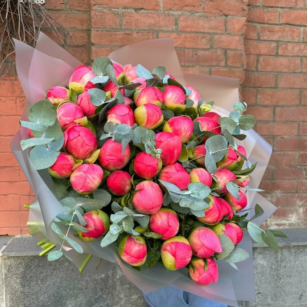Монобукет Protea "Коралловые Пионы", 45 штук, высота 60см, XXL, аквабокс