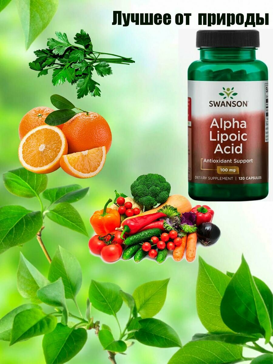 SWANSON Alpha Lipoic Acid 100 mg 120 caps , повышает тонус, укрепляет иммунитет — фото 1