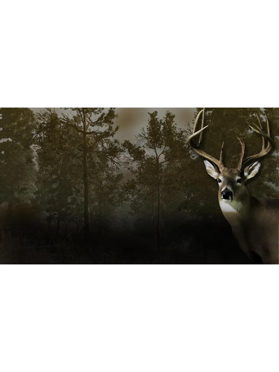 Pro Deer Hunting PS4 & PS5