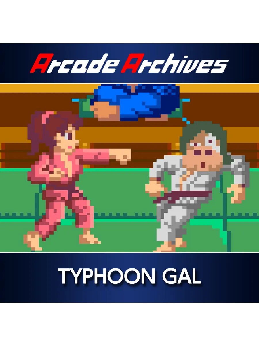 Arcade Archives TYPHOON GAL PS4 & PS5