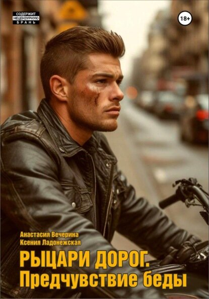 Рыцари дорог. Предчувствие беды [Цифровая книга]