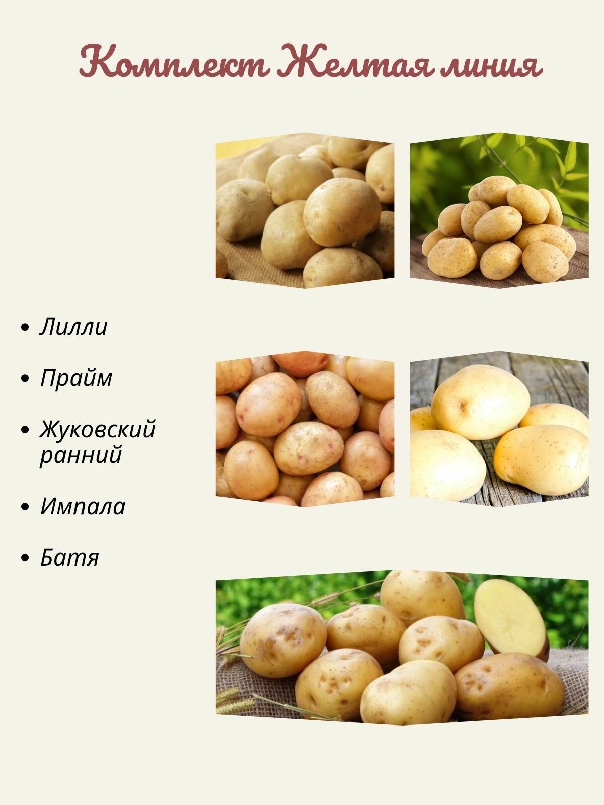 Комплект картофеля из 5 сортов "Желтая линия" 2,5 кг