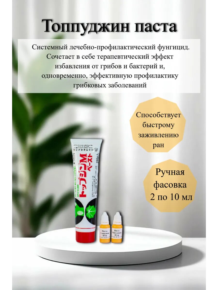 Топпуджин паста 20 мл (фасовка)