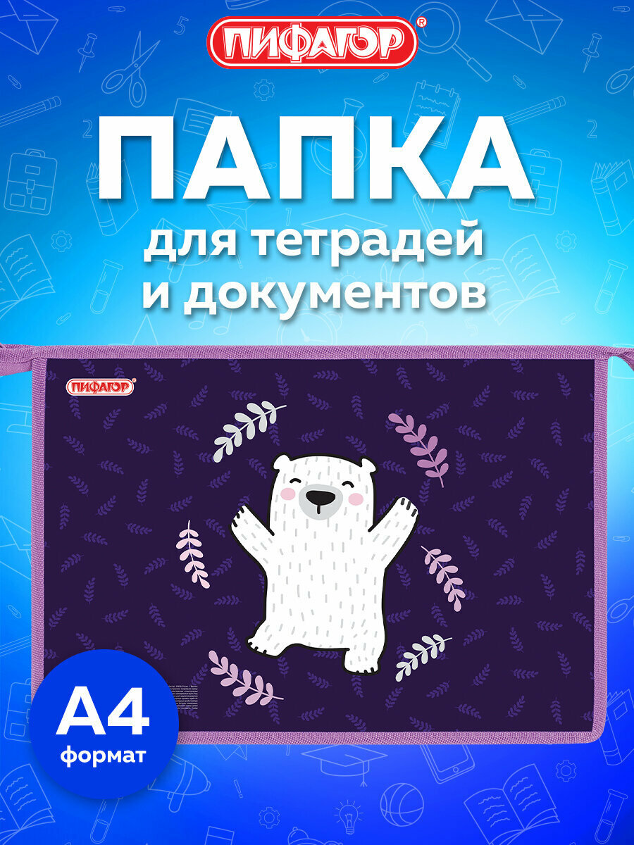 Папка для тетрадей Пифагор А4, 1 отделение, картон/пластик, на молнии, Happy bear, 272126