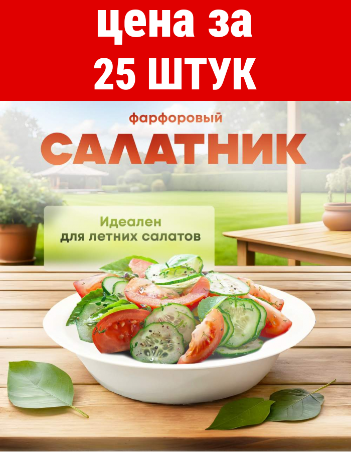 Комплект 25 шт, Миска 600мл 210мм, фарфор