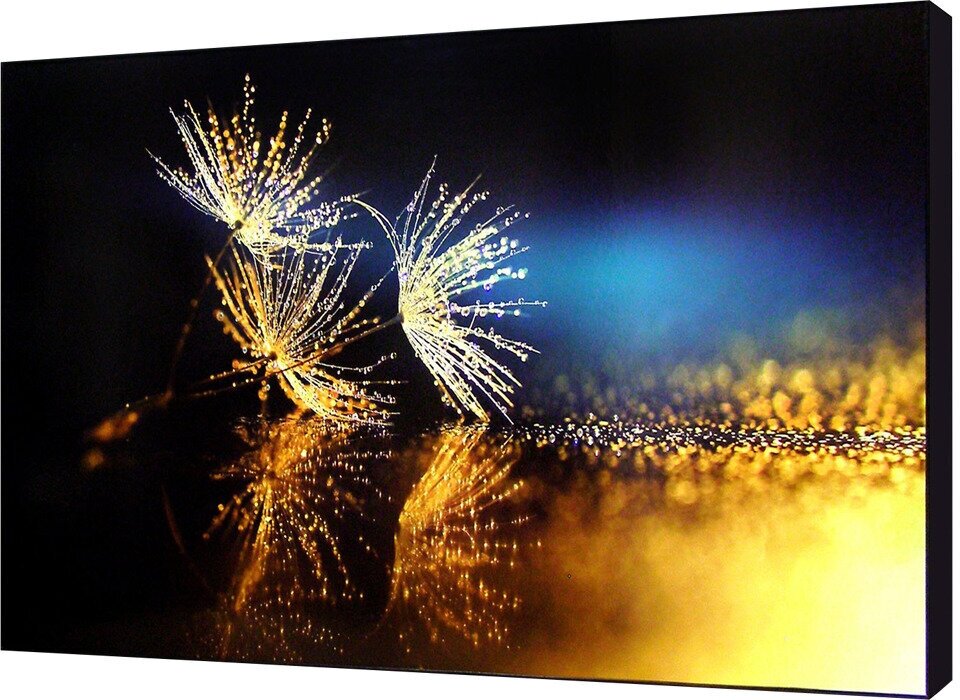 Картина на стену для интерьера Декарт настенный декор панно в раме багете в гостиную ванную детскую для офиса лофт пейзаж абстракция