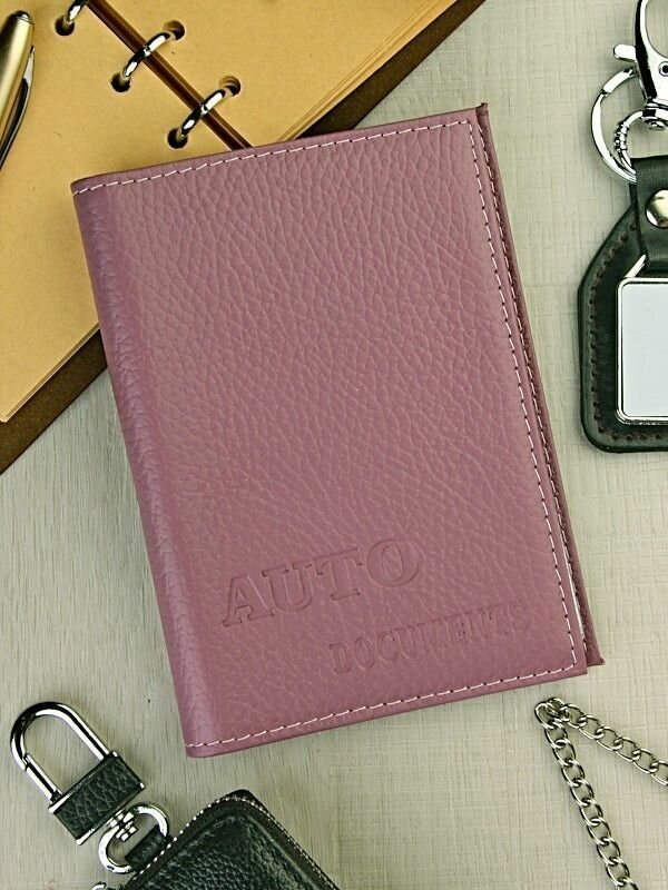 Документница