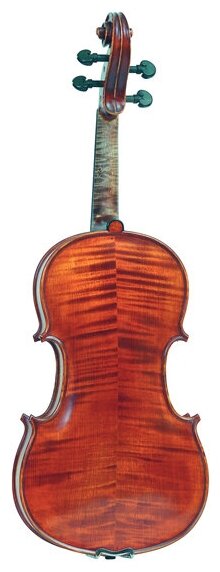 Скрипка Gliga Gama P-V012