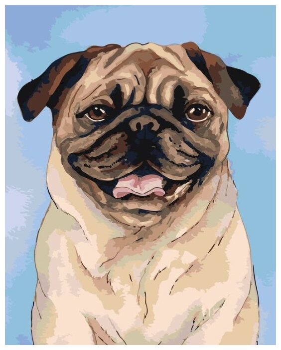 Картина по номерам ЖПН на холсте с подрамником "Собаки: смешной мопс" Раскраска 40х50 см