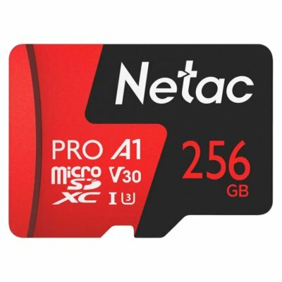 Карта памяти 256GB NT02P500PRO-256G-S