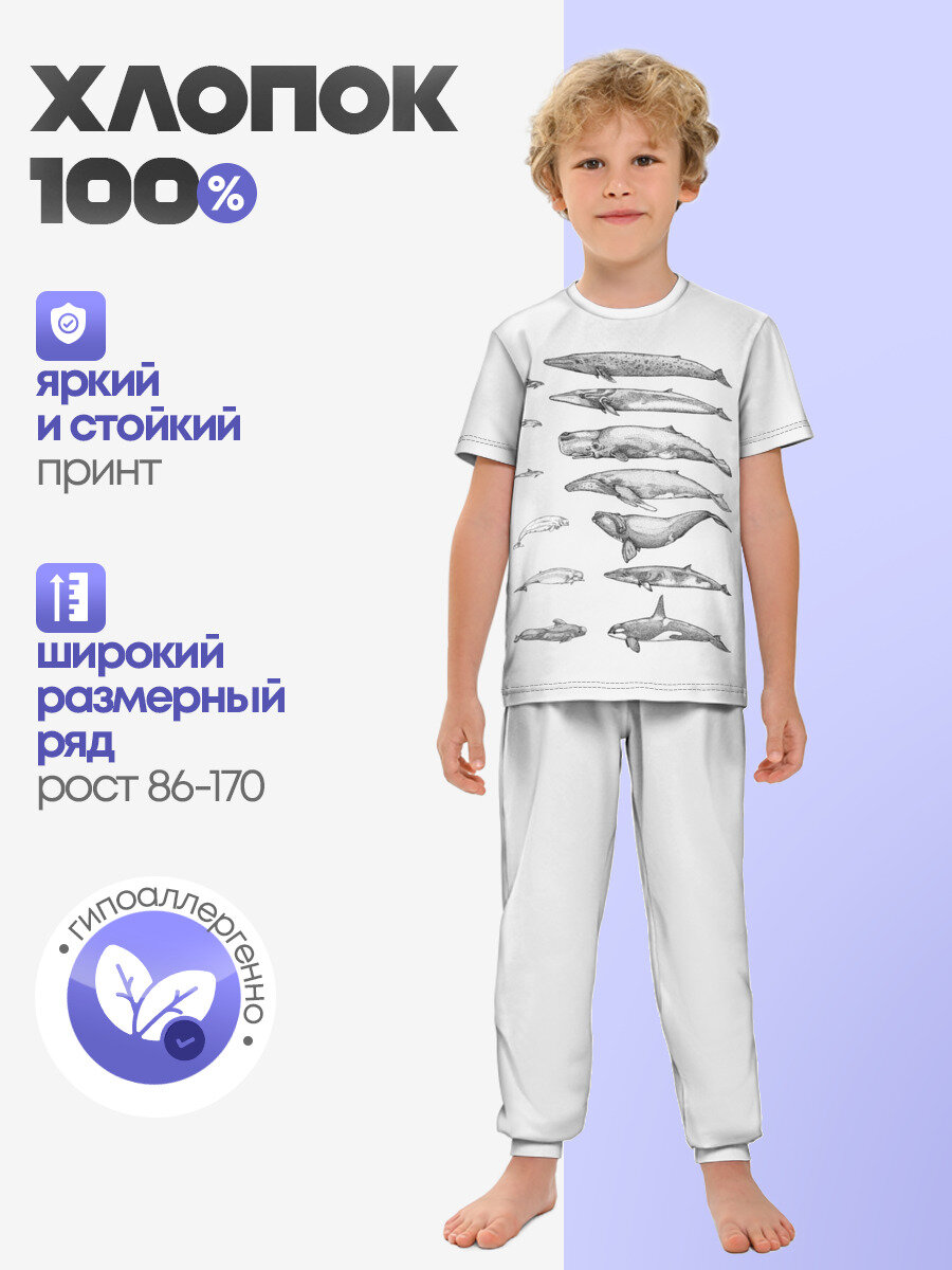 Пижама Lacotton.ru Дельфины и киты