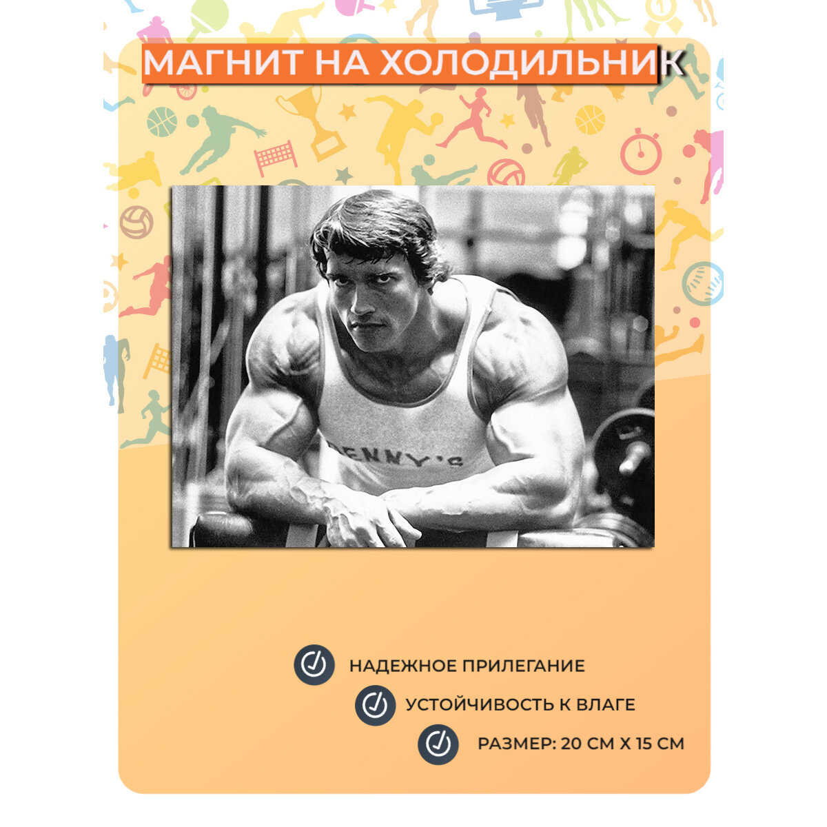 Магнит на холодильник Арнольд Шварценеггер (20 см х 15 см) Спорт №9