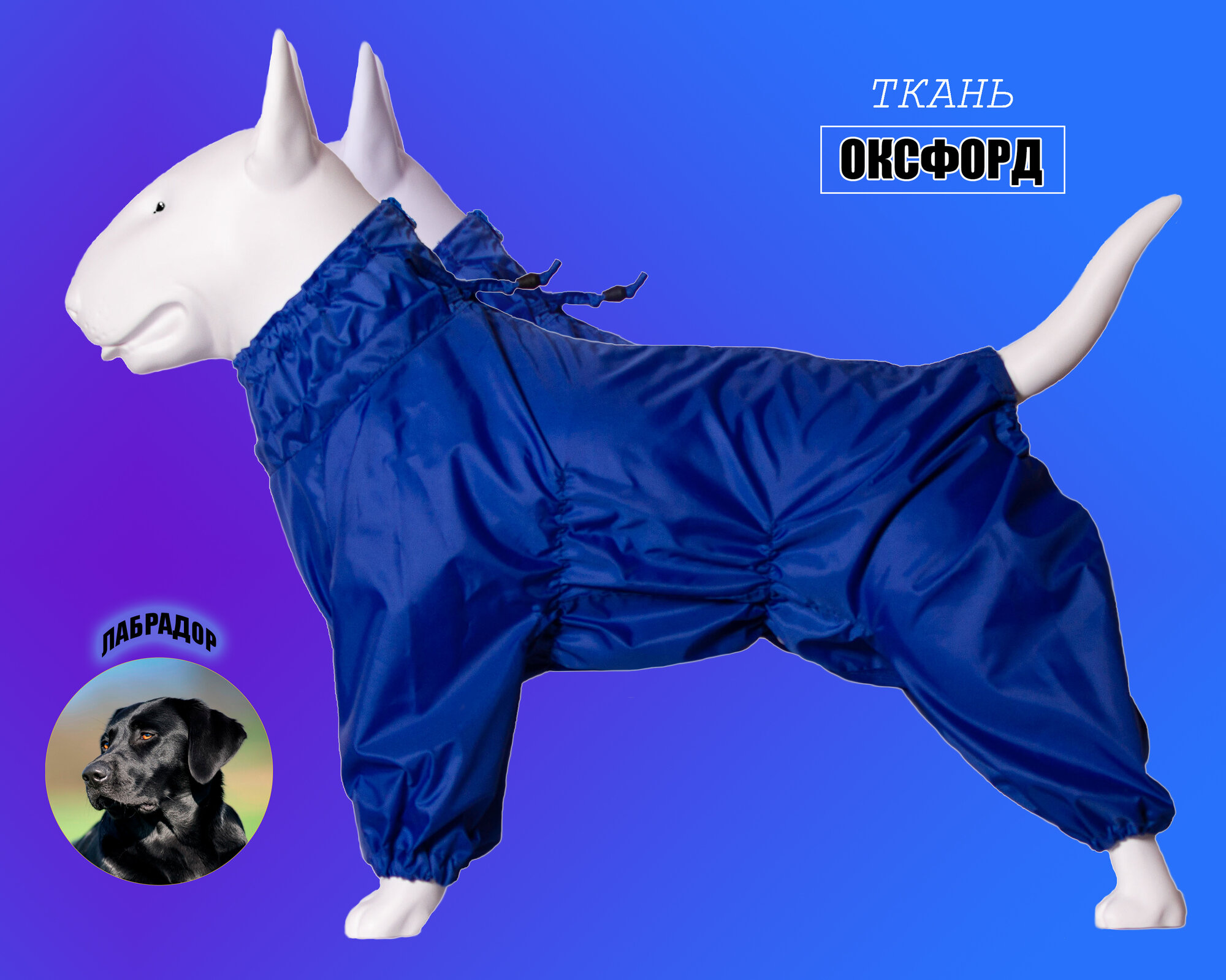 Дождевик-комбинезон для лабрадора кобеля, повышенной прочности, цвет василек