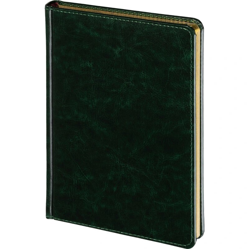 Ежедневник недатированный зелен, А5,145х205мм,136л, Sidney NEBRASKA 3-128/05